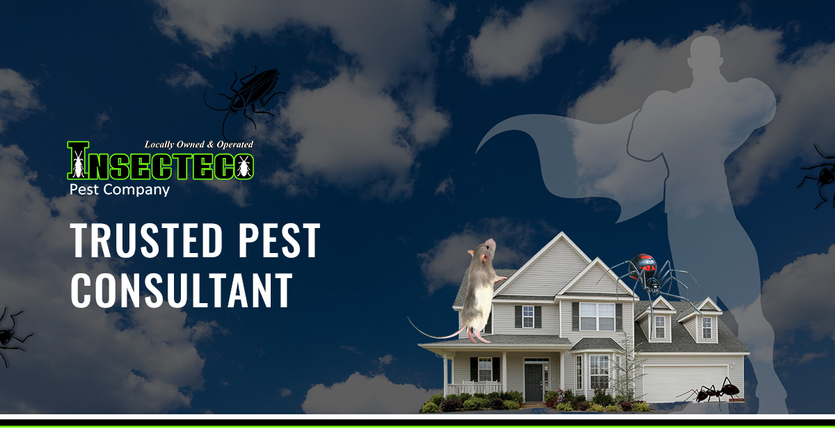2026 Blogs | Insecteco Pest Company